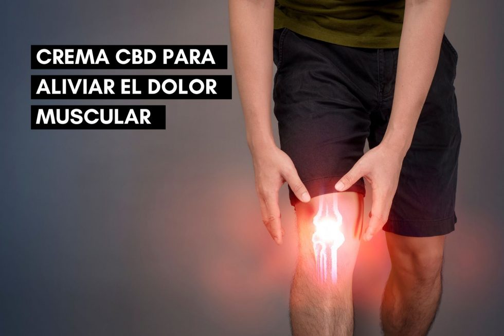 Crema Cbd para aliviar los dolores musculares